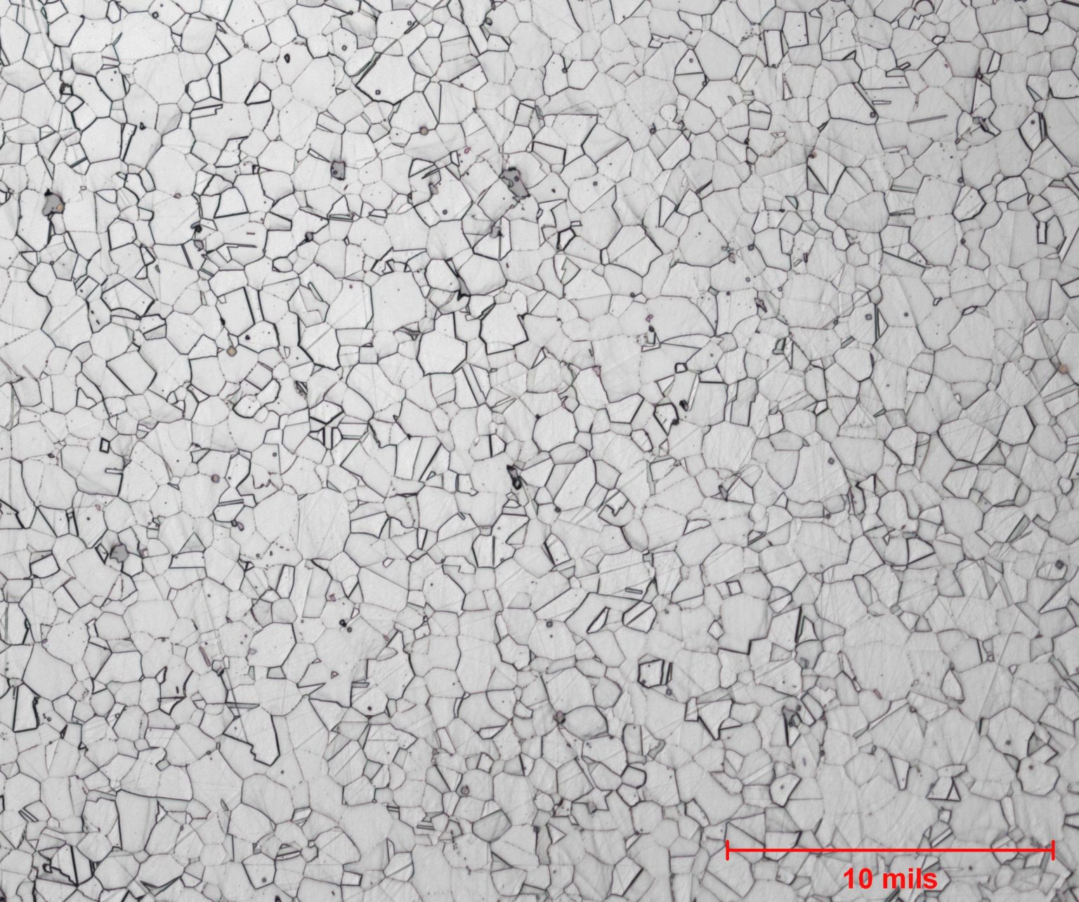 A286 Iron-Base Superalloy - Metallography with Neel