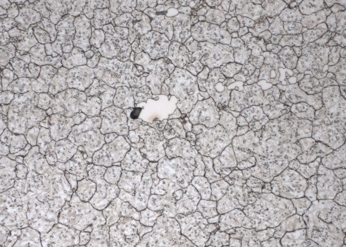 Tool Steel - Metallography with Neel