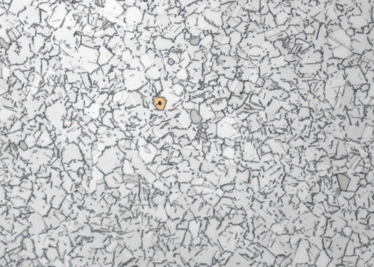 Martensitic Steel - Metallography with Neel