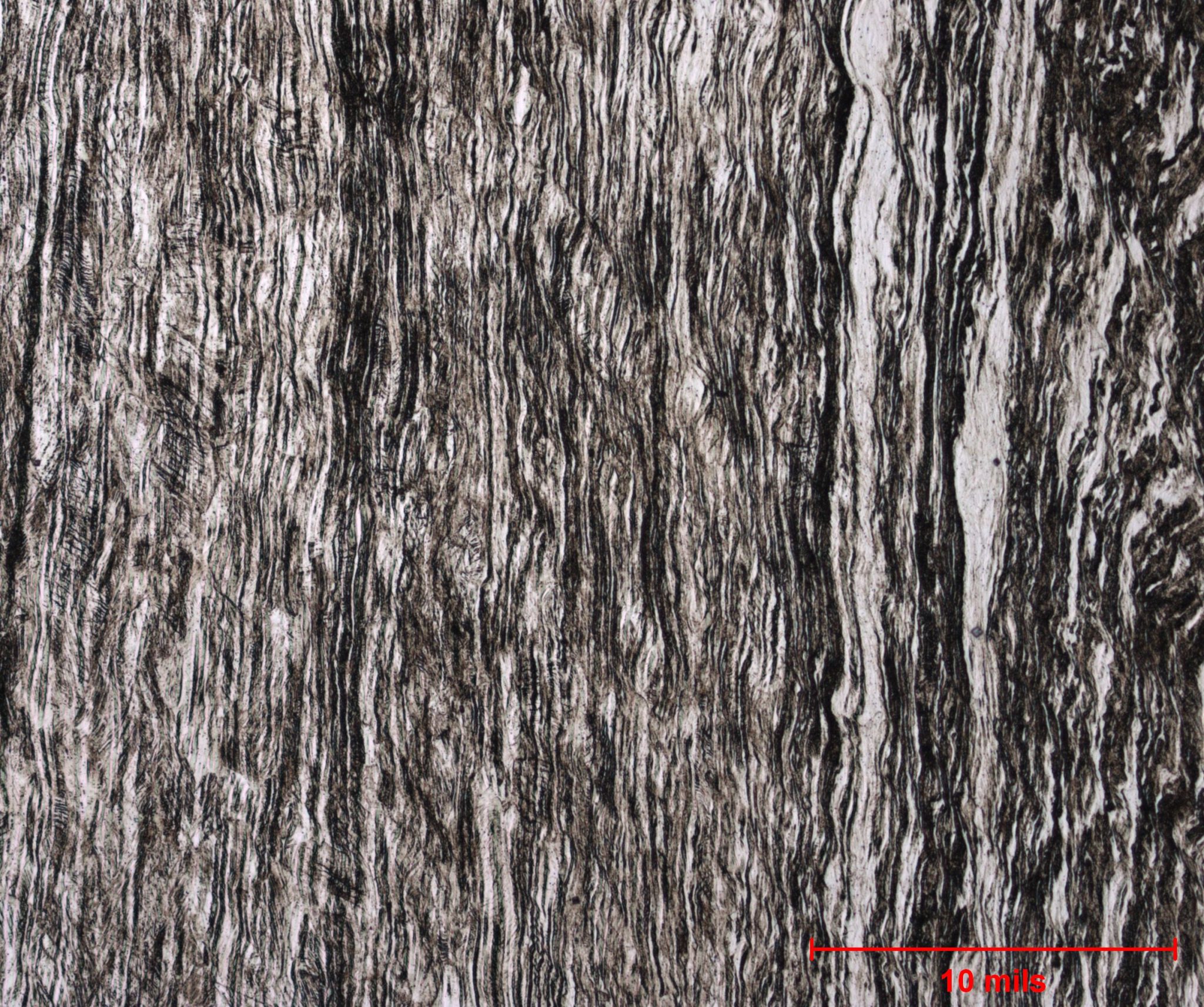 Stainless and Carbon Steel Fasteners - Metallography with Neel